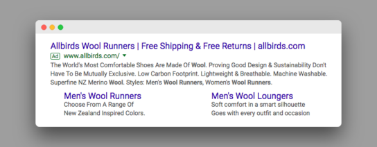 The Google Ads Strategy of Allbirds - Store Growers