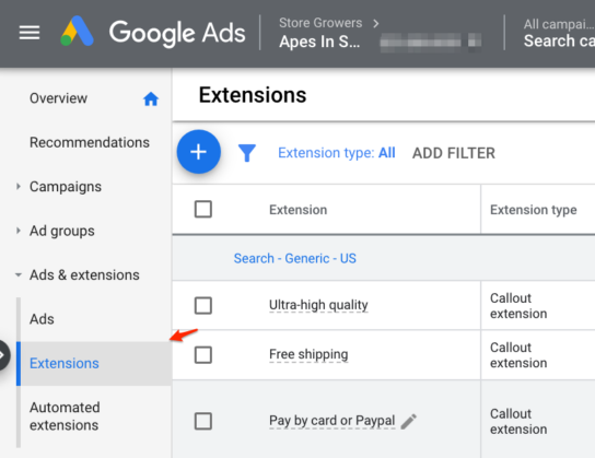 How to Use Callout Extensions in Google Ads - Store Growers