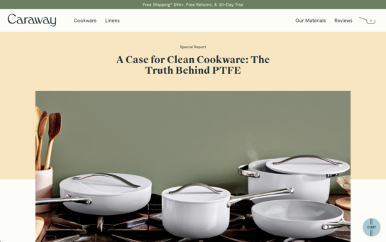 Here’s How Caraway Home Makes $193k/Mo with Google Ads - Store Growers
