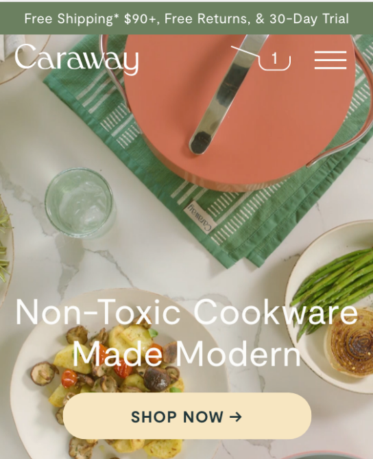 Here’s How Caraway Home Makes $193k/Mo with Google Ads - Store Growers