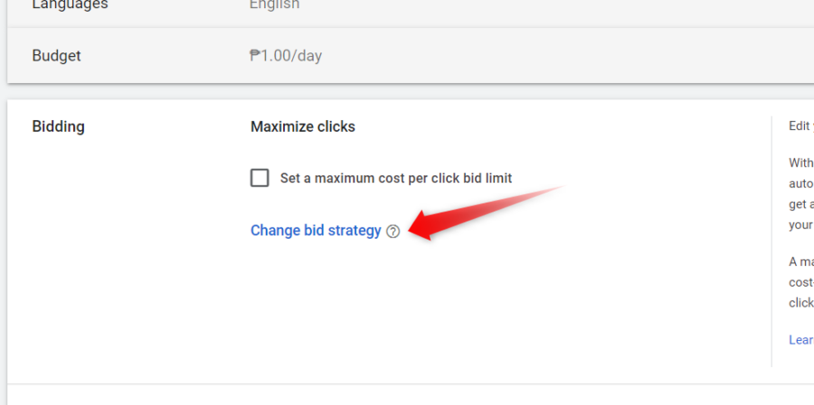 How To Use Maximize Conversions Bidding in Google Ads - Store Growers