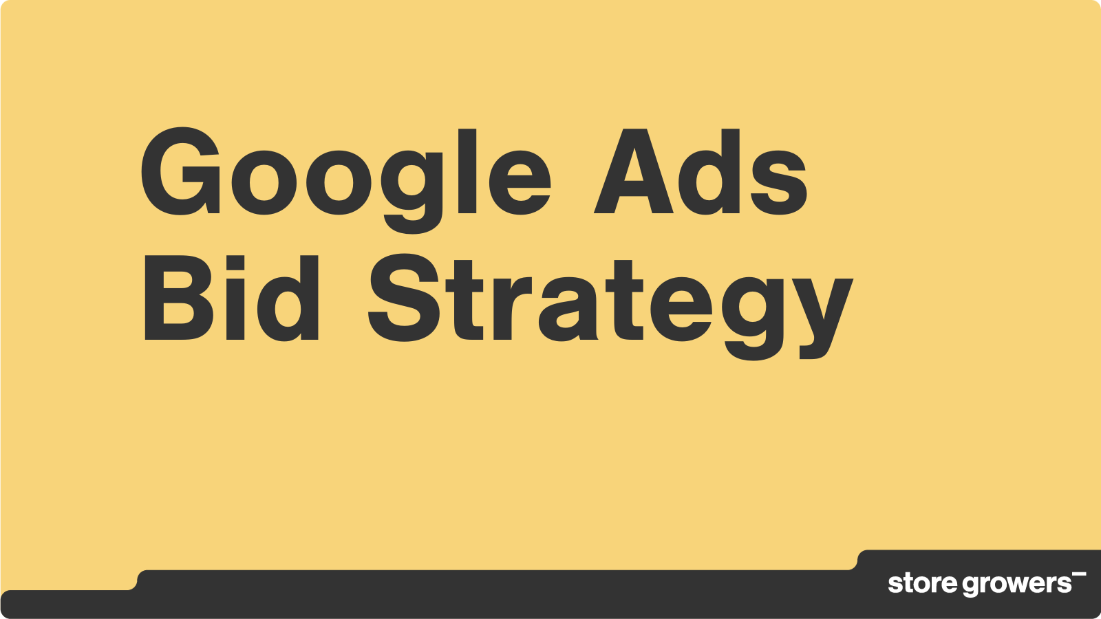 Google Ads Bid Strategy Crash Course - Store Growers Google Ads Bid Strategy Crash Course - Store Growers