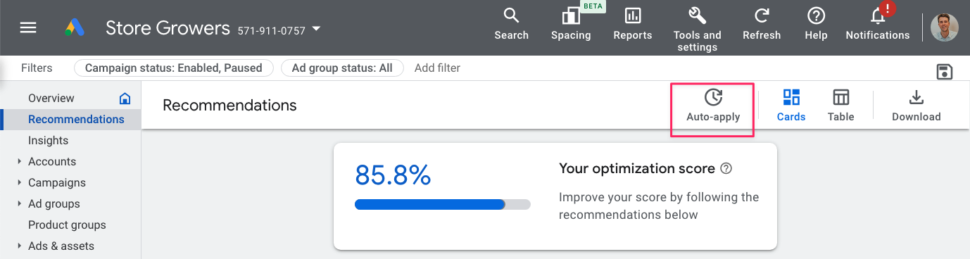 Which Google Ads Recommendations Can You Trust? - Store Growers
